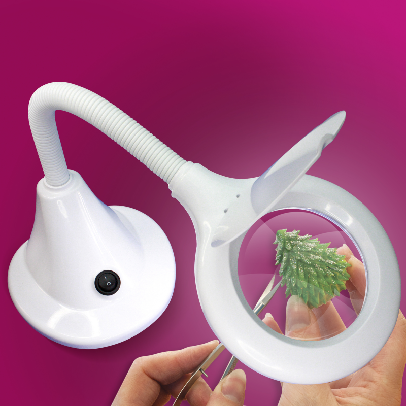 Lightcraft Led Compact Flexi Magnifier Lamp (Uk Plug) | Shesto