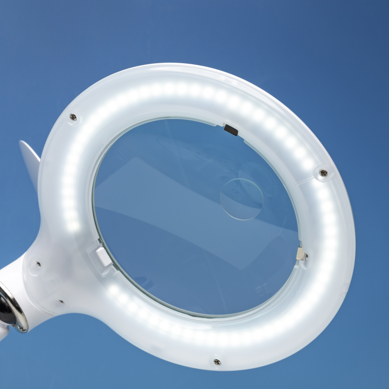 Lightcraft Led Magnifier Table Lamp With Organiser Base | Shesto